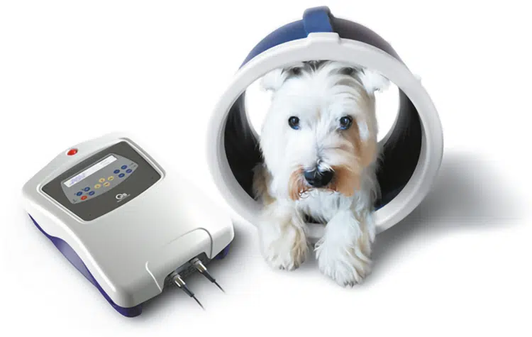 Easy QS VET - Veokee